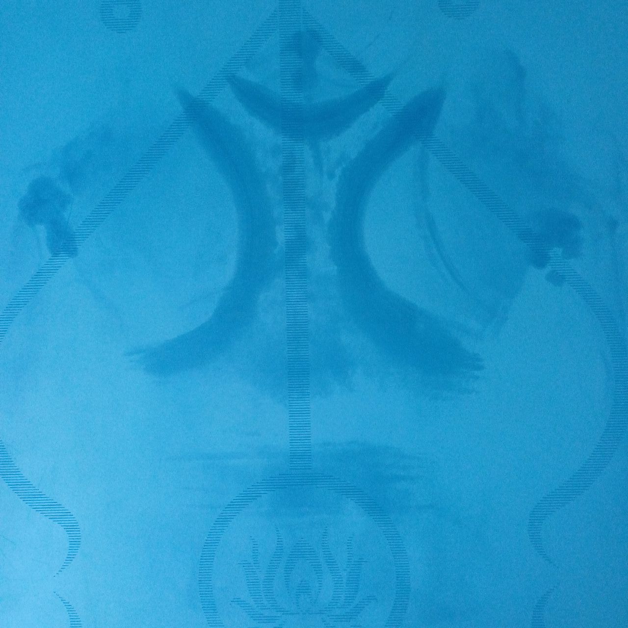 Chloe Ting Community - Pretty image of the day 😋