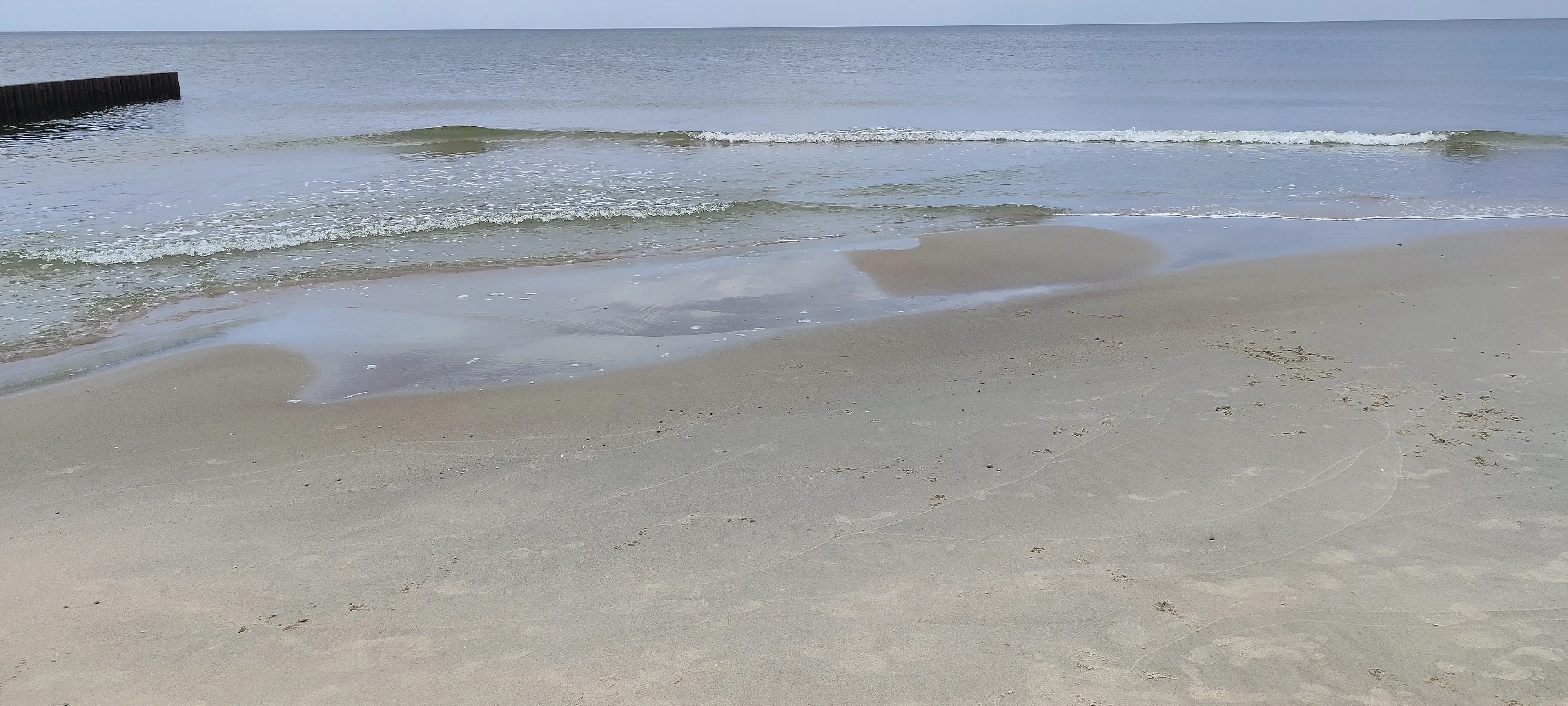 Chloe Ting Community - Scenery